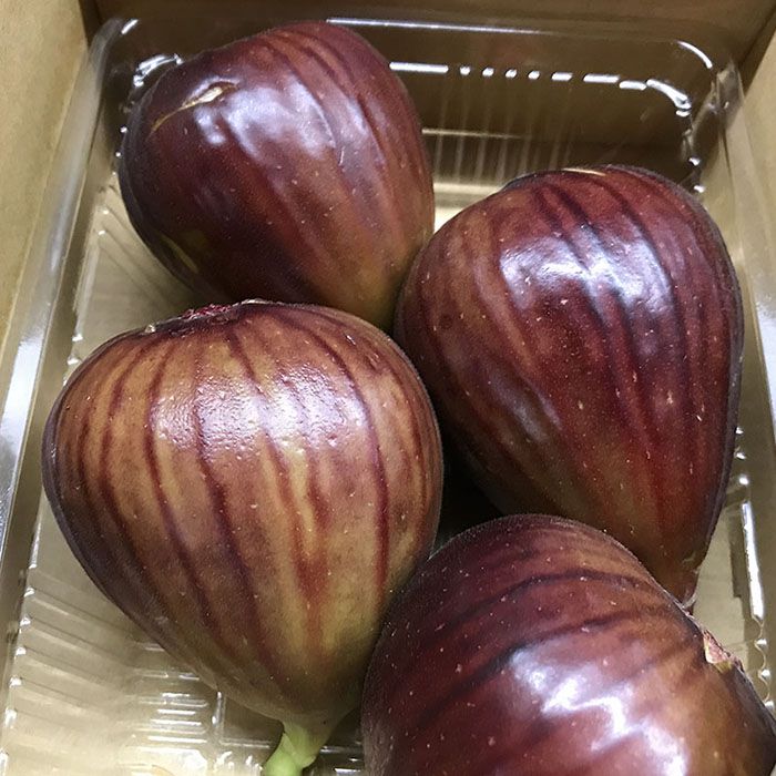 【楽天市場】【送料無料】和歌山県産 いちじく 2Lサイズ 4パック入り：生鮮食品直送便