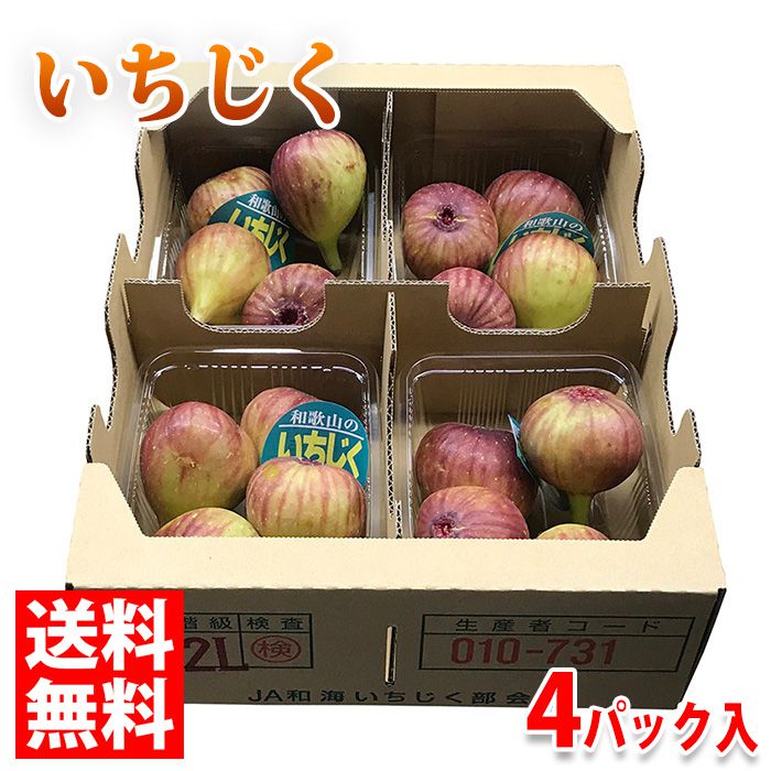 【楽天市場】【送料無料】 和歌山県産 いちじく 秀品 2Lサイズ 4パック入り（箱）：生鮮食品直送便