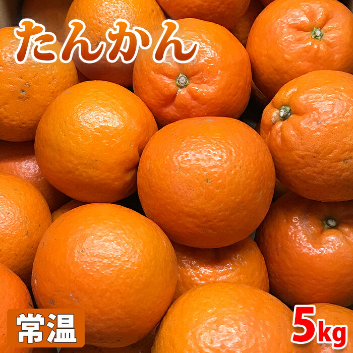 【楽天市場】【送料無料】鹿児島県産 たんかん 秀品 L～3Lサイズ 5kg（箱）：生鮮食品直送便