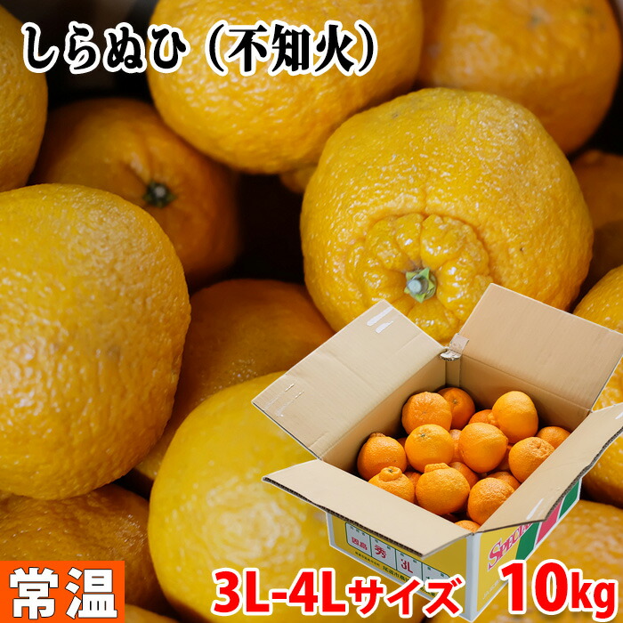 【楽天市場】広島県産 しらぬひ （不知火） 秀品 3L～4Lサイズ 10kg （箱）：生鮮食品直送便