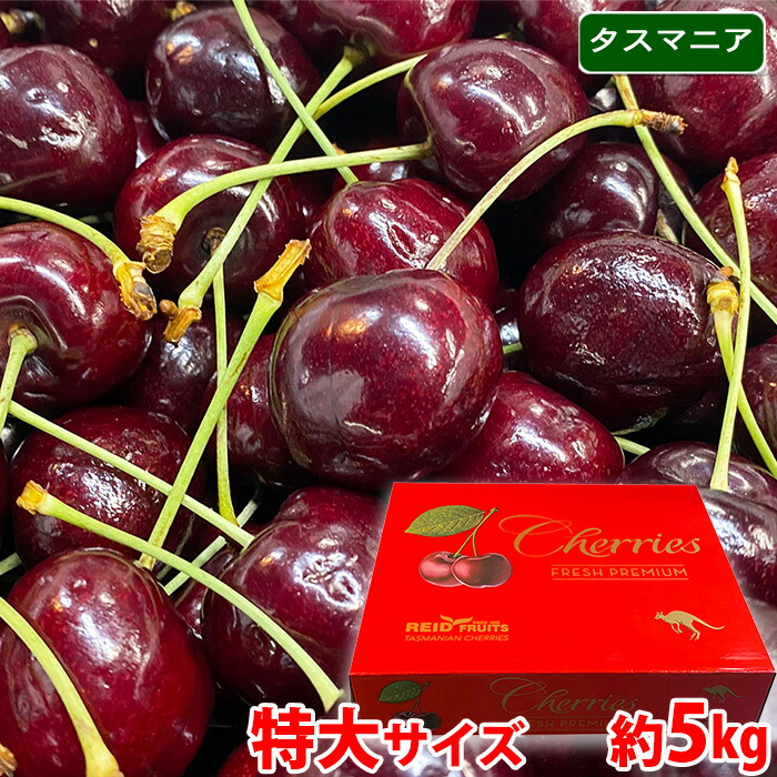 【楽天市場】タスマニア産 チェリー 特大サイズ 9.5R （28mm以上） 約5kg （箱）：生鮮食品直送便