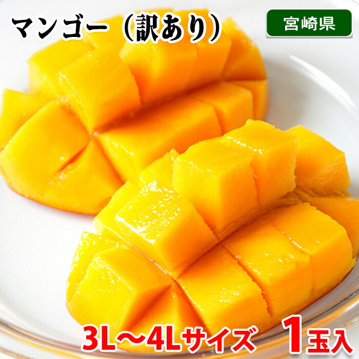 【楽天市場】宮崎県産 完熟マンゴー （訳あり） 3L～4Lサイズ 1玉入り （1パック）：生鮮食品直送便