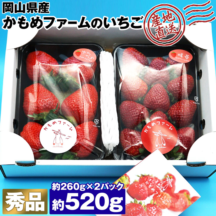 【楽天市場】いちご ギフト 秀品 520g (260g×2パック) 岡山県産 晴苺 かおりの 章姫 ゆめのか よつぼし 贈答 じゃらん イチゴ 苺 冷蔵便 同梱不可 指定日不可 産直：食の達人 ...