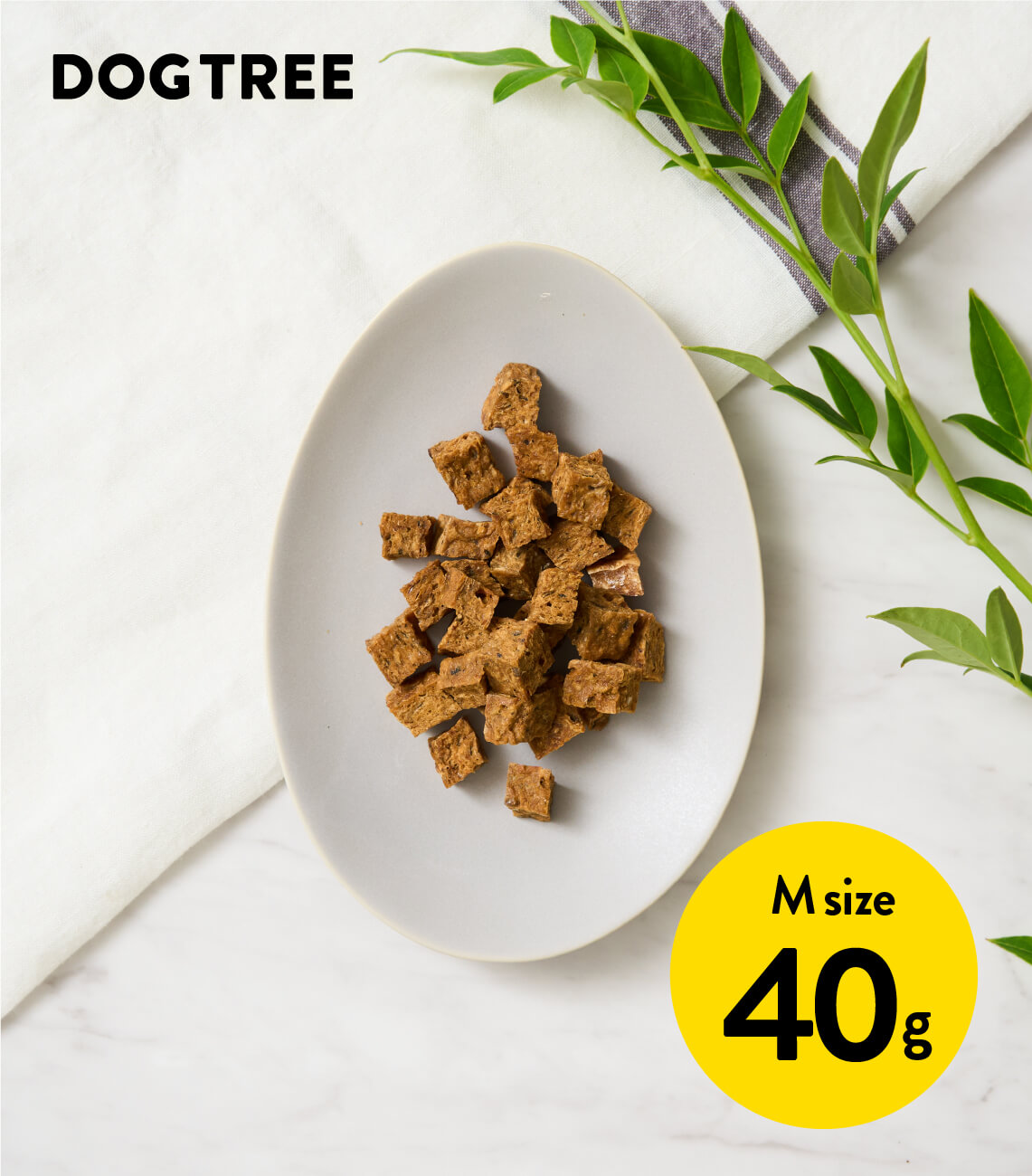 【楽天市場】【公式】ドッグツリー 一口角切り鮭（さけ） M 40g | 無添加 国産 サケ 犬 おやつ 犬のおやつ 犬おやつ 犬用おやつ ドッグフード DOGTREE：【公式】ドッグツリー楽天市場店