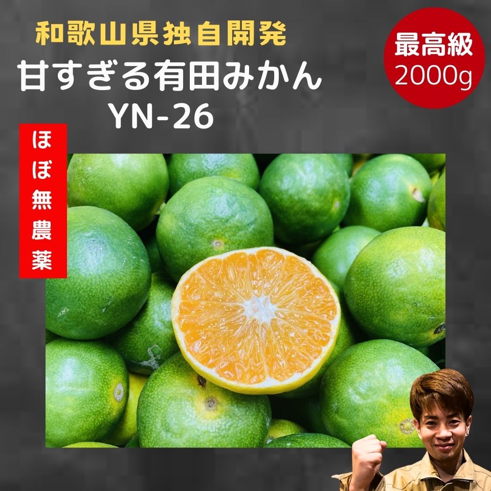 【楽天市場】3960円⇒2380円！有田みかん YN-26 数量限定 【減農薬】極甘 和歌山 甘い おいしい 濃い みかん 産地直送 訳あり 蜜柑 送料 2kg 友達や家族と分け合える 子供 ...