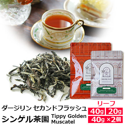 【楽天市場】紅茶 茶葉 ダージリン セカンドフラッシュ 2025年 シンゲル茶園 FTGFOP1 Tippy Golden Muscatel ...