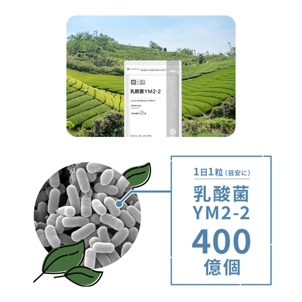 【楽天市場】\7/19-～P20倍確定！／乳酸菌YM2-2 1袋(30日分) サプリメント 健康食品 国産 植物性乳酸菌 乳酸菌 YM2-2 守り 防御 IgA抗体 おすすめ サンセリテ ...