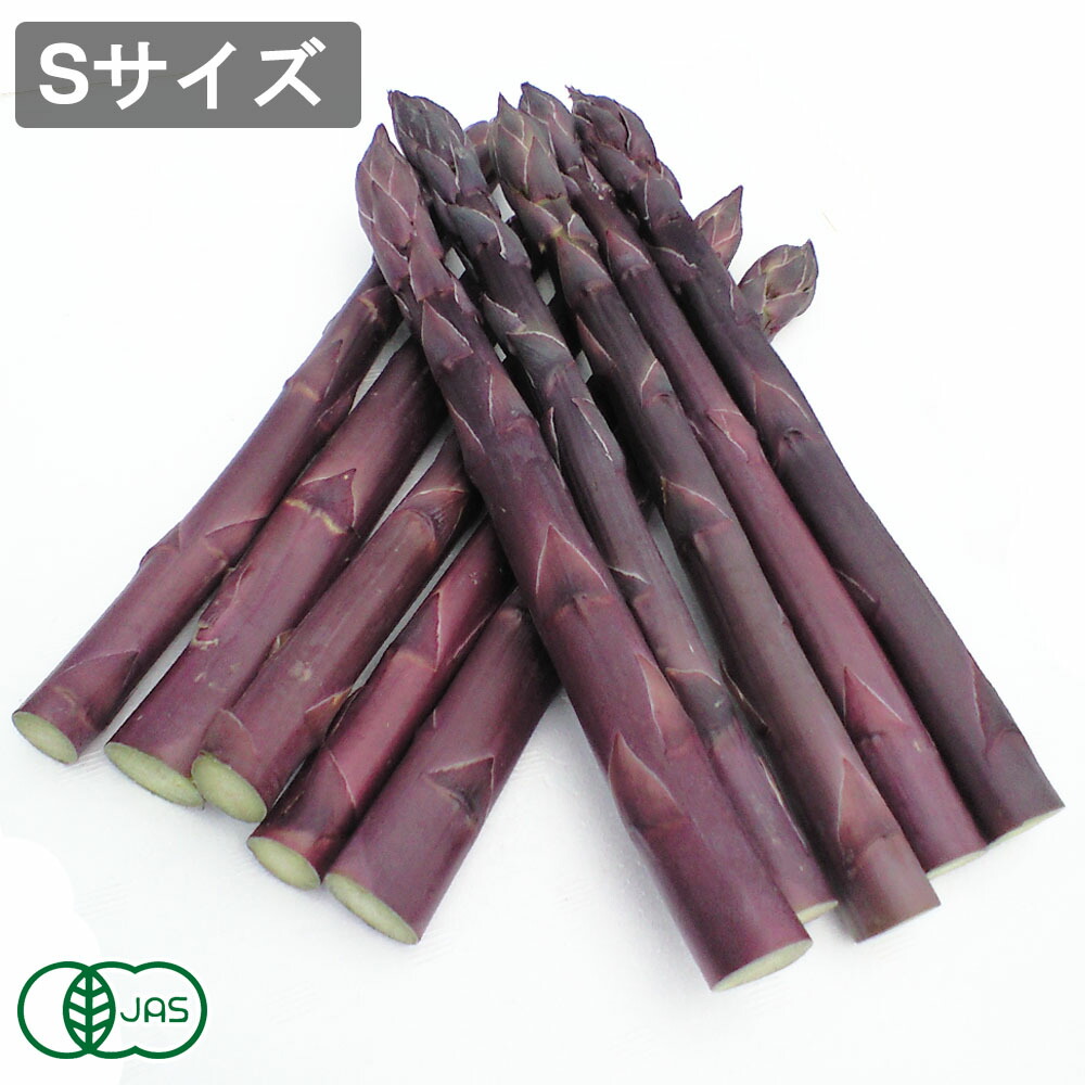 【楽天市場】【予約・クール便】 有機パープルアスパラ「カルデラの紫宮女」 Sサイズ 1kg箱 有機JAS (北海道 滝本農場) 産地直送：ふるさと21