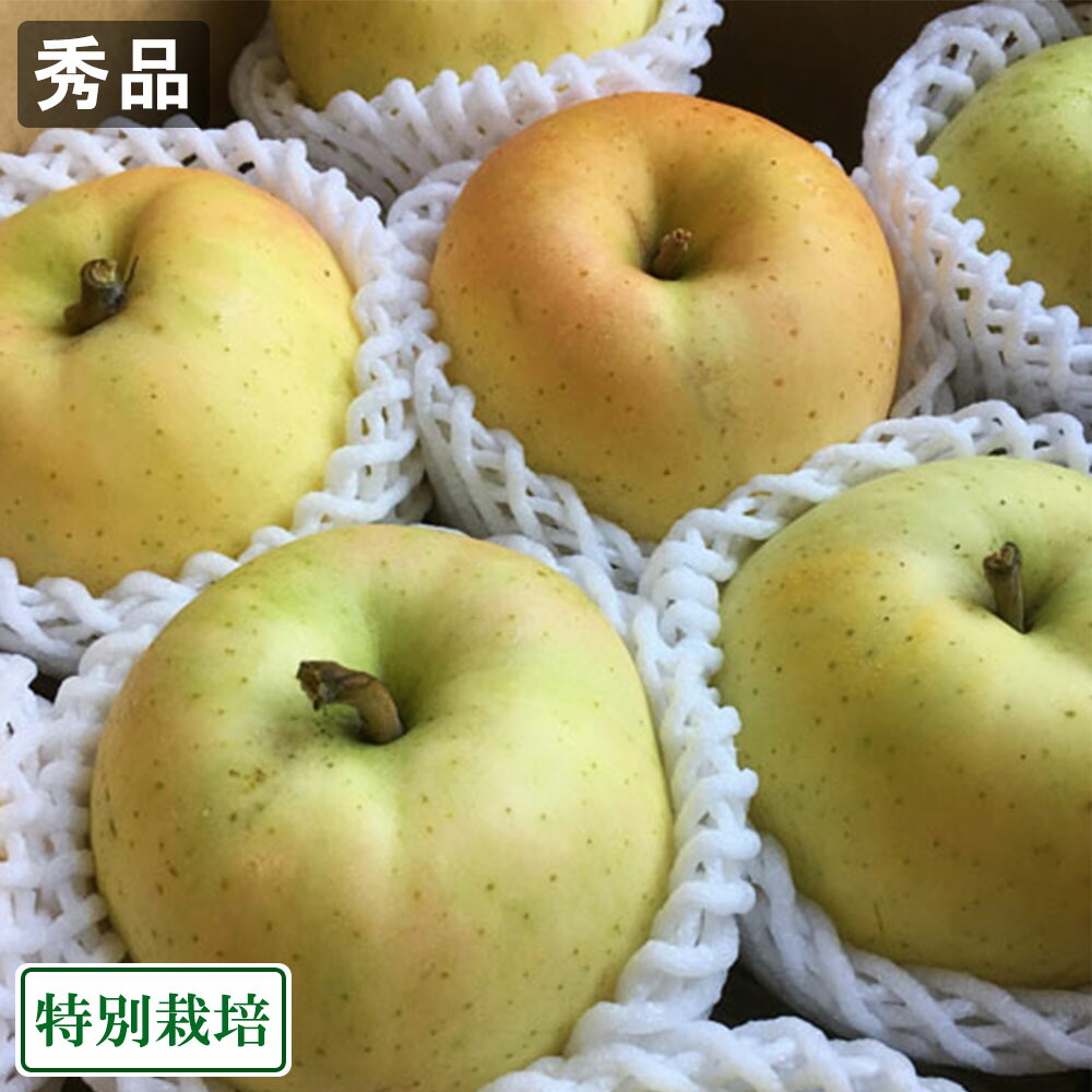 【楽天市場】【11月はP10倍★要エントリー】とき 秀品 5kg 特別栽培 (青森県 阿部農園) りんご 産地直送：ふるさと21
