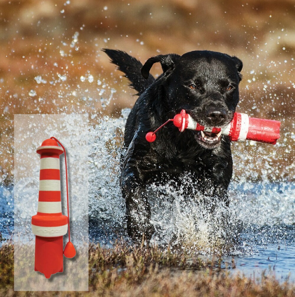 【楽天市場】ROGZ ログズ LIGHT HOUSE 日本初販売 水辺で遊ぶ 犬用おもちゃ 噛みつき：スカイ・ブランチ
