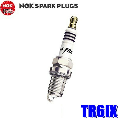 【楽天市場】TR6IX(3689) 日本特殊陶業 NGK イリジウムIXスパークプラグ 一本入り：スカイドラゴンオートパーツストア