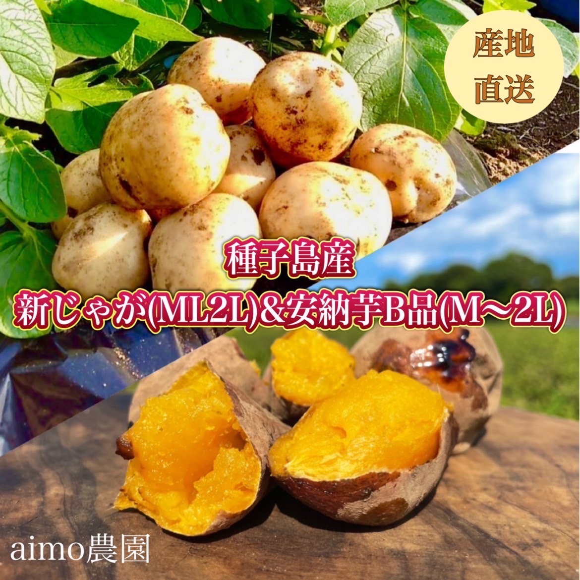 【楽天市場】【期間限定】種子島産 新じゃが(ML2L)＆熟成安納芋B品(M~2Lサイズ) セット｜aimo農園：スロード 楽天市場店