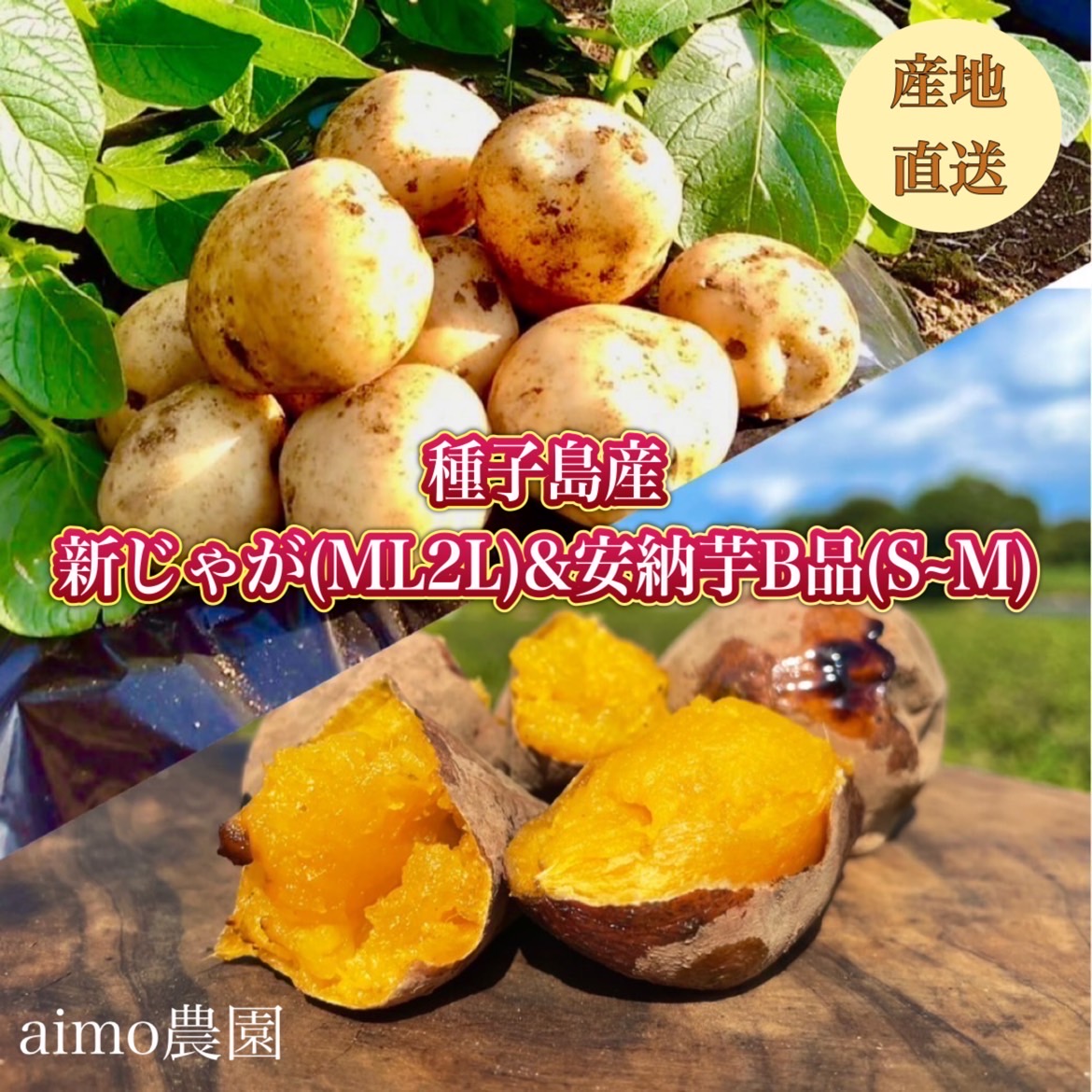 【楽天市場】【期間限定】種子島産 新じゃが(ML2L)＆熟成安納芋B品(S~Mサイズ) セット｜aimo農園：スロード 楽天市場店