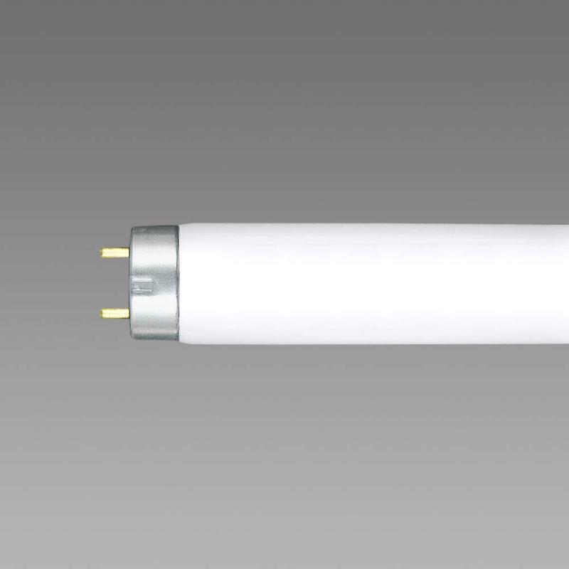 【楽天市場】NECライティング 昼白色 FL6N/8N/10N/15N：スマイルセレクション