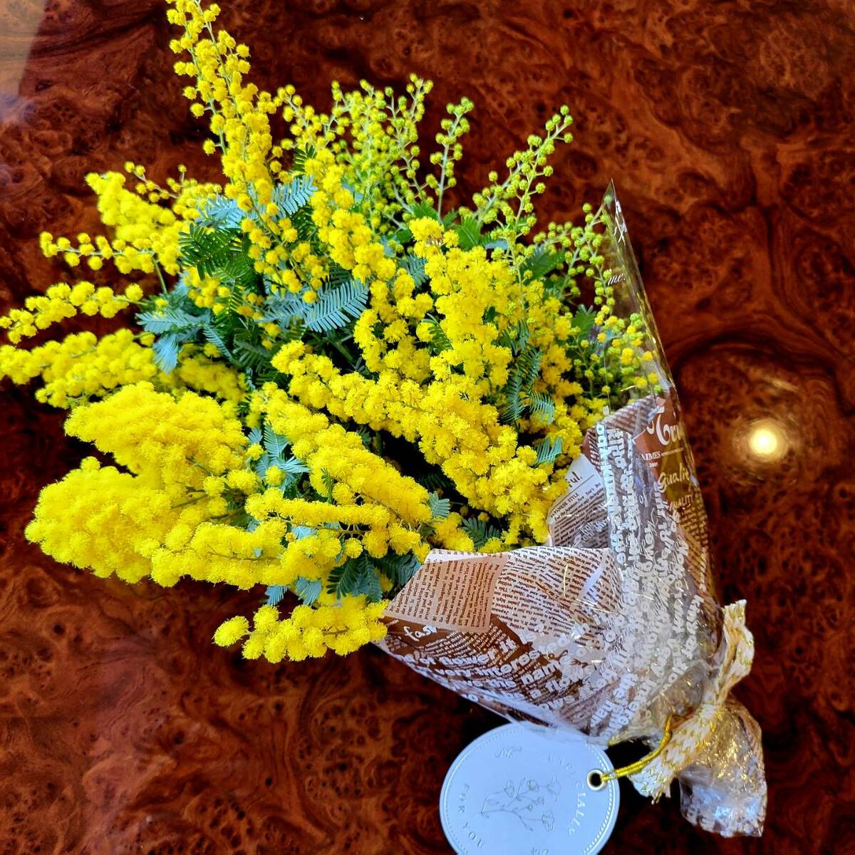 【楽天市場】ミモザ 大人気商品 ドライフラワー ドライフラワー ミモザ 楽天市場売上NO,1【ブーケ】：So-netmoソネトモ