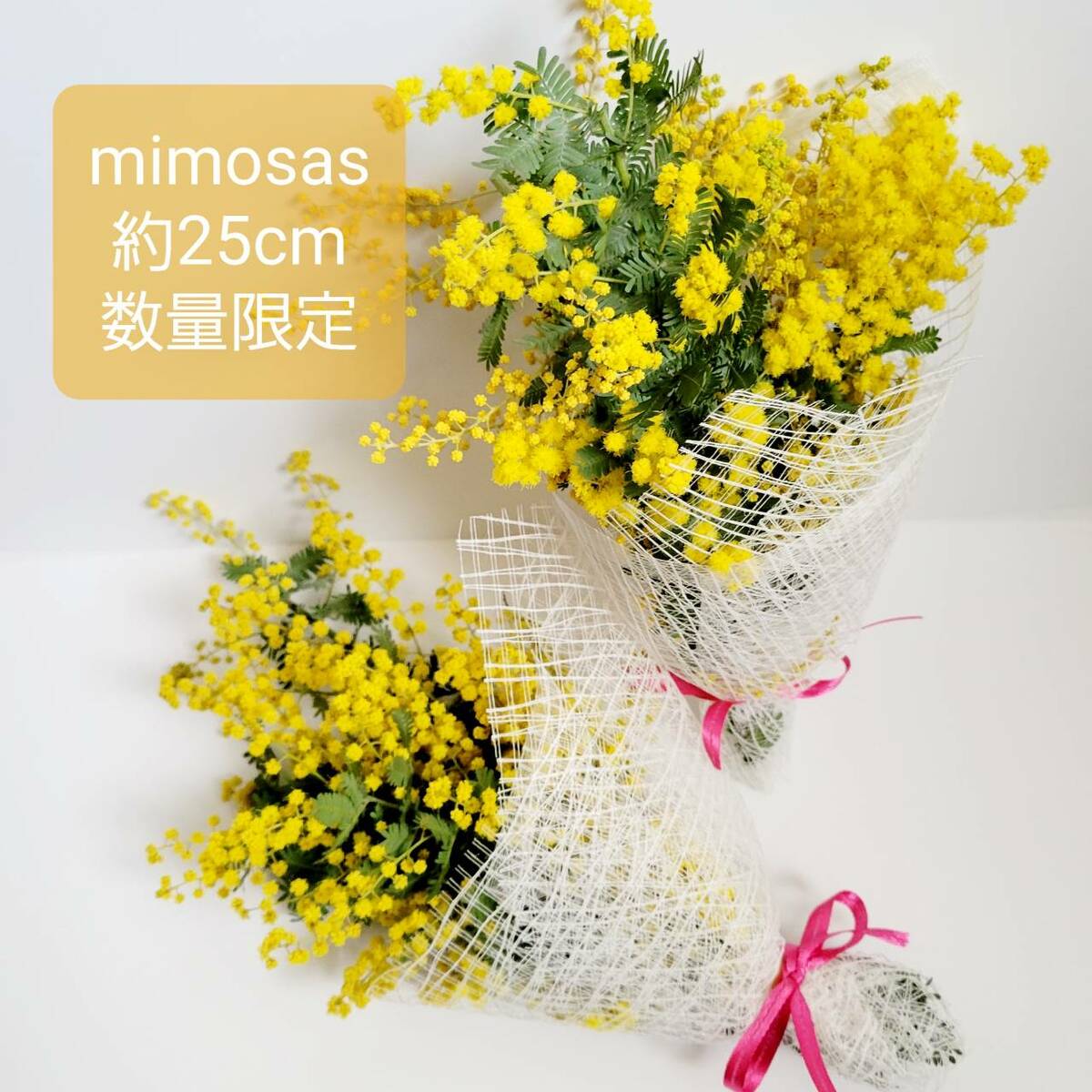 【楽天市場】ミモザ 大人気商品 ドライフラワー ミモザ 楽天市場売上NO,1【ブーケ】：So-netmoソネトモ