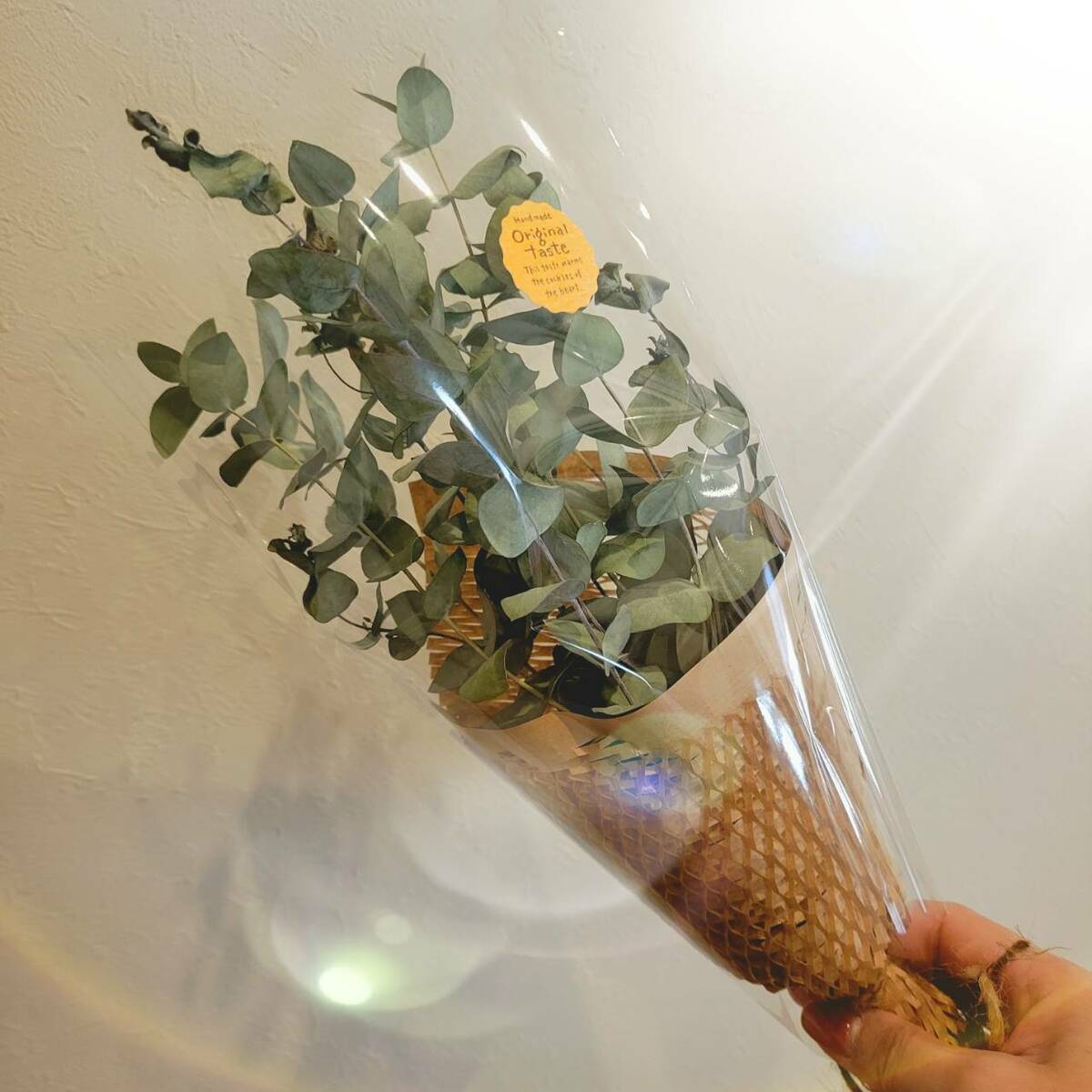 【楽天市場】ユーカリ ドライフラワー ブーケ So-netmo 無農薬栽培 オーガニック プレゼント 自然：So-netmoソネトモ