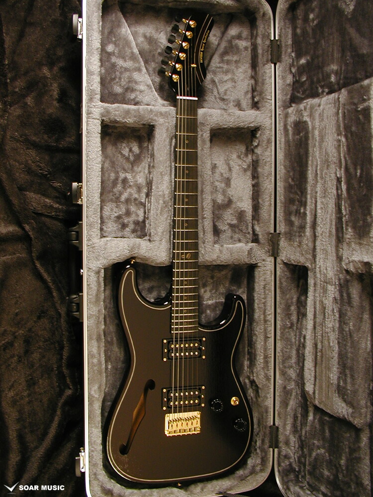 【楽天市場】Deviser ディバイザー ROSETTA VESSEL・HH Coffee-CTM FBK 深煎りブラック コーヒーギター 国産 エレキギター セミホロウボディ 25インチ ...