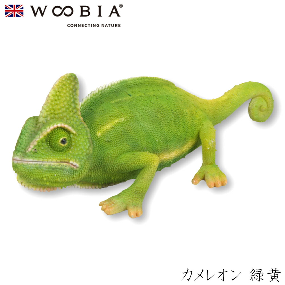 【楽天市場】『全品対象SALEクーポン』【Woobia（ウービア）】【カメレオン 緑黄】 (幅25cm×奥行10.5cm×高さ8.2cm）かわいい 置物 リアル 動物 おしゃれ インテリア ...