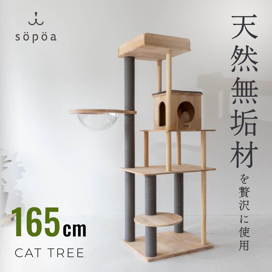 【楽天市場】sopoa®公式【 高評価★4.75 】CAT TREE 天然 無垢材 木製 キャットタワー 2色 高品質（スリム 宇宙船 爪研ぎ ...