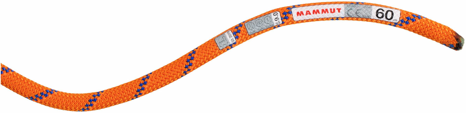 【楽天市場】マムート MAMMUT アウトドア 9.0 Alpine Sender Dry Rope Climbing Gear ...