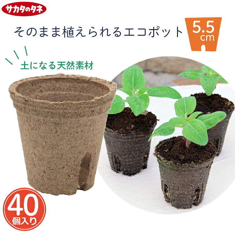 【楽天市場】サカタ 育苗ポット 天然素材 ジフィーポット 5 5cm 丸 40個入り 種まきポット 苗ポット イチゴ 花 野菜 苗 植え付け