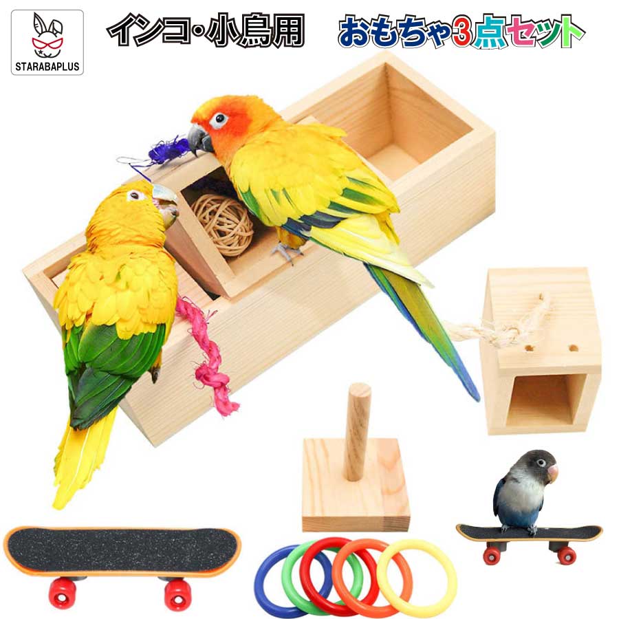【楽天市場】「エントリーでポイント10倍 」3点セット 小鳥 インコ オウム おもちゃ スケボー 輪投げ 訓練 学習 遊び ストレス解消 運動 送料無料：STARABAPLUS