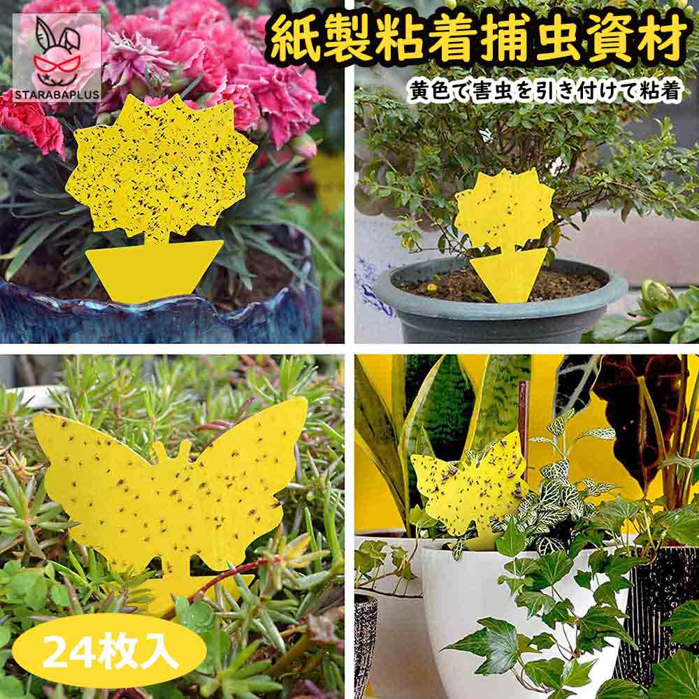 【楽天市場】紙製粘着捕虫資材 ペタット 粘着捕虫 粘着トラップ 黄色 虫とり 害虫捕獲 罫線 予察 無農薬 送料無料(24枚入り)：STARABAPLUS