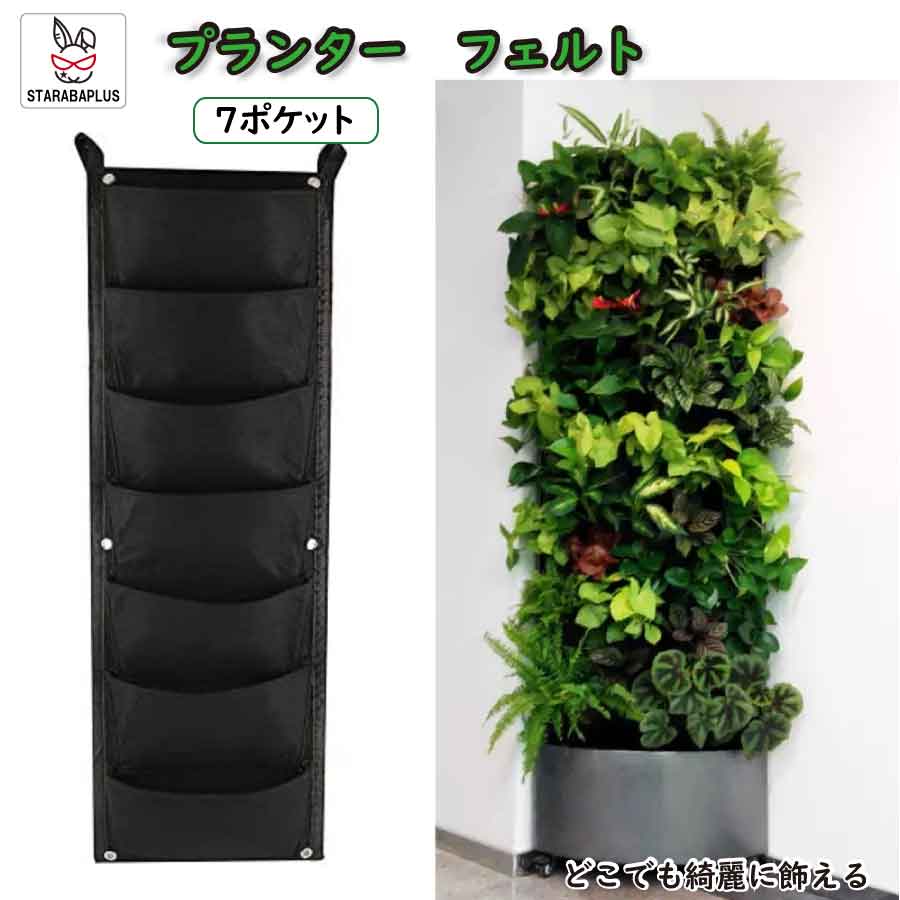 【楽天市場】母の日 栽培ポット 吊下げ 苗 栽培 菜園 プランター 屋内 植物 観葉植物 育てる プレゼント 3個買うと1個プレゼント 送料無料：STARABAPLUS