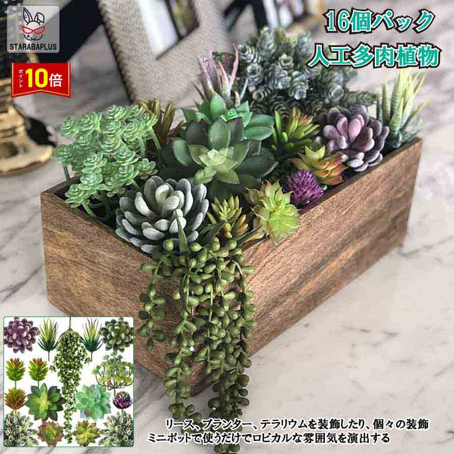 【楽天市場】「エントリーでポイント10倍 」人工多肉植物 フェイクグリーン 16パック リアル装飾用フェイク植物 人工多肉植物 アロエ 人工多肉植物 ピック 多肉植物 茎 フェイク多肉植物 ...