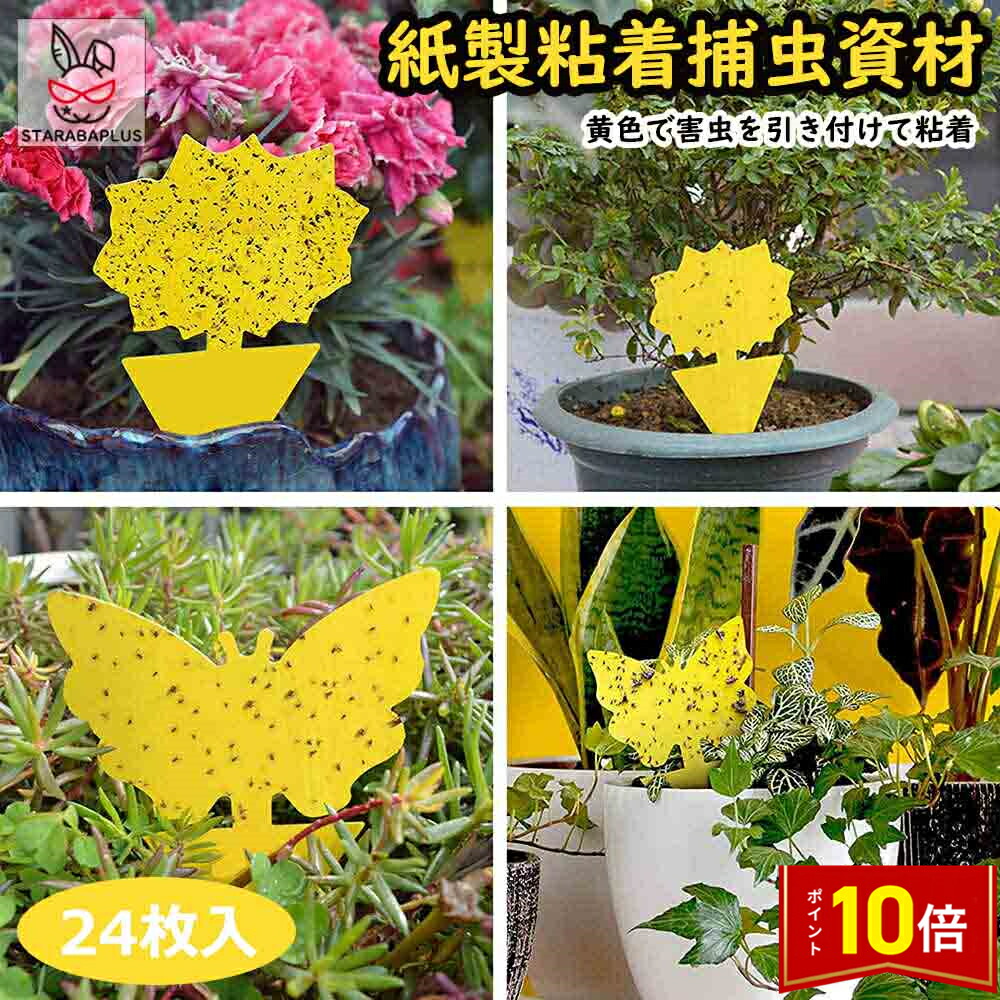 【楽天市場】「エントリーでポイント10倍 」紙製粘着捕虫資材 ペタット 粘着捕虫 粘着トラップ 黄色 虫とり 害虫捕獲 罫線 予察 無農薬 送料無料(24枚入り)：STARABAPLUS