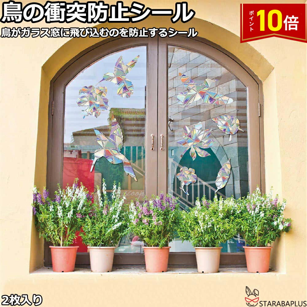 【楽天市場】「エントリーでポイント10倍 」鳥の衝突防止シール 鳥の衝突防止フィルム ガラスフィルム ガラス フィルム 窓フィルム 窓飾り おしゃれ 2枚入り 送料無料：STARABAPLUS