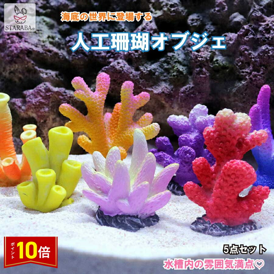 【楽天市場】「エントリーでポイント10倍 」5個セット 人工珊瑚 アクアリウム サンゴ ミニチュア 水槽用品 オーナメント 海洋生物装飾品 風景 観賞用 小さい かわいい アクセサリー 飾り ...