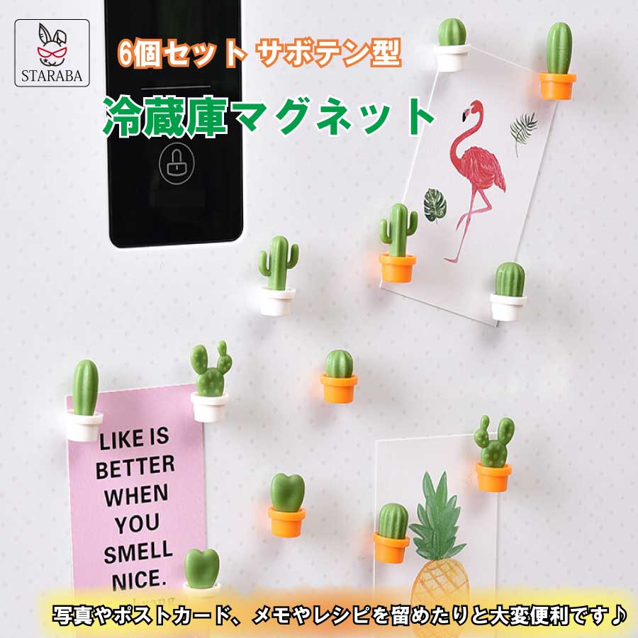 【楽天市場】6個セット 冷蔵庫マグネット 磁石デザイン サボテン 3D立体 キッチン ホワイトボード ホームデコ メッセージボード 文具 伝言 装飾 メール便 送料無料：STARABA