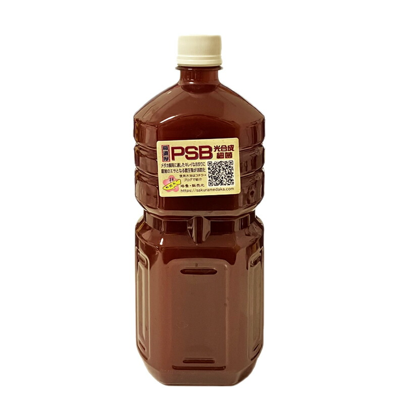 【楽天市場】桜めだか培養 PSB 光合成細菌 1Lボトル / 高濃度な土壌細菌バクテリア メダカ・金魚・熱帯魚に！：STARFORD