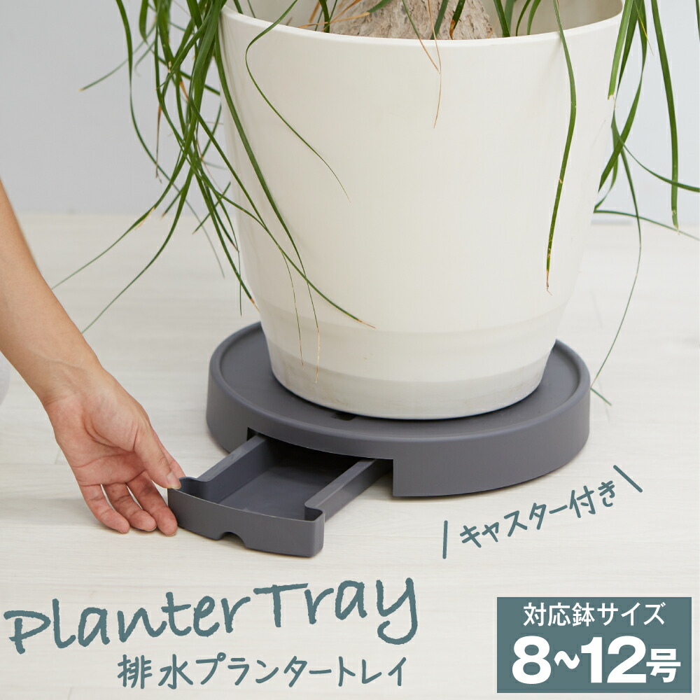 【楽天市場】ポットキーパー 観葉植物 鉢皿 鉢 ポット 排水 キャスター付き 8号 10号 12号 植物ポット 受け皿 床置き 大鉢 中鉢 プラスチック おしゃれ 北欧 排水できる 植物 ...