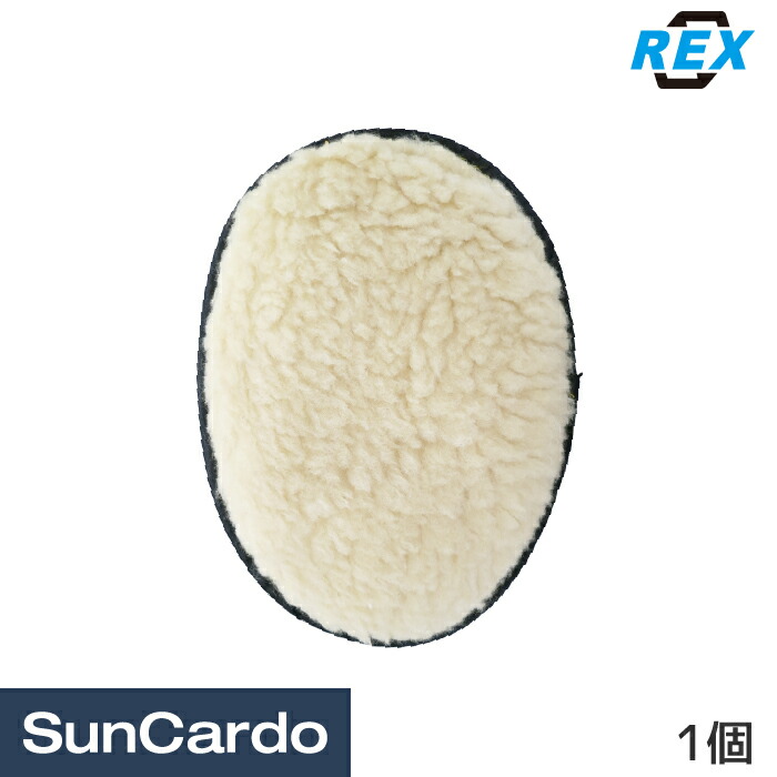 【楽天市場】洗車 グローブ ミット 車 REX(レックス) 洗車グローブ 1個 J031017：工具・カー用品のSunCardo