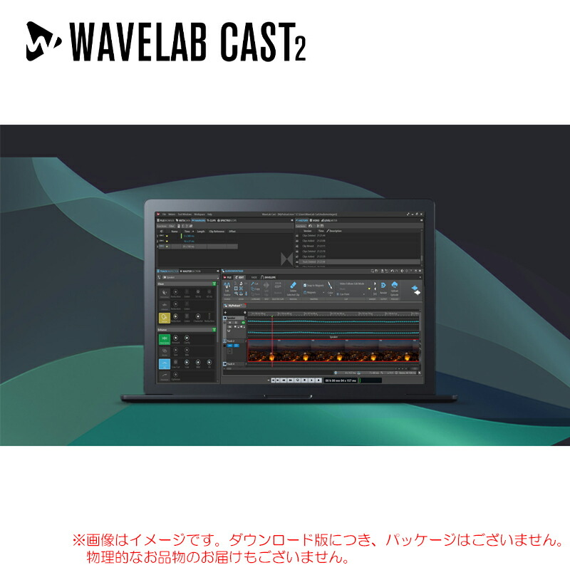 【楽天市場】STEINBERG WAVELAB CAST 2 ダウンロード版 安心の日本正規品！：サンフォニックス楽天市場店