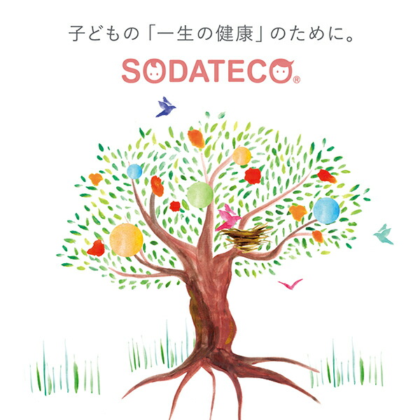 【楽天市場】【サンスター公式通販】 ソダテコ SODATECO おくちキレイシート30包 60枚入 歯がはえる前 3か月頃から 天然コットン製シート 精製水 ノンアルコール 無香料 無着色 ...