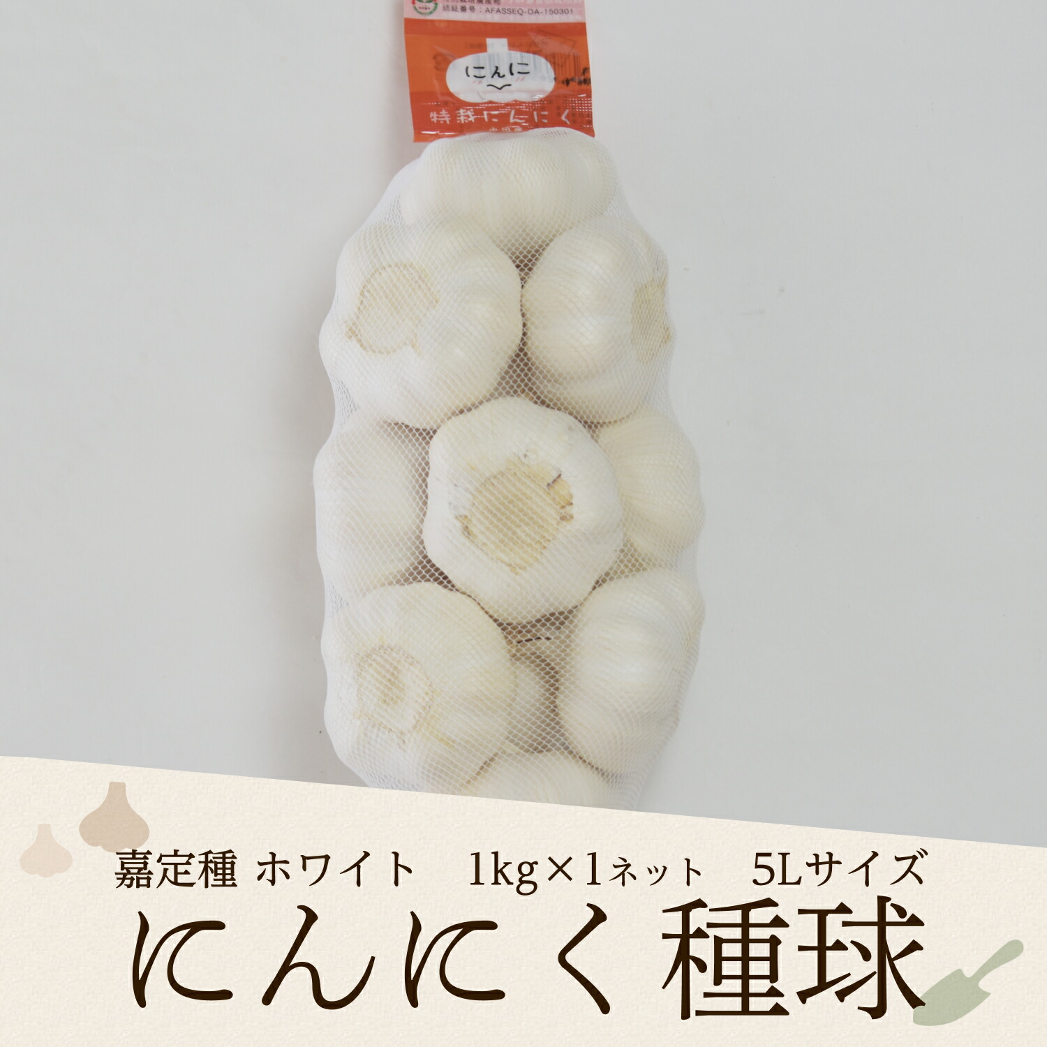 【楽天市場】2025年度産 嘉定種ホワイトにんにく種球（5L） 1kg×1ネット 中国産（特栽にんにく）(中国規格5Lサイズ/1kgネットの目安玉数11-13個)：生姜工房