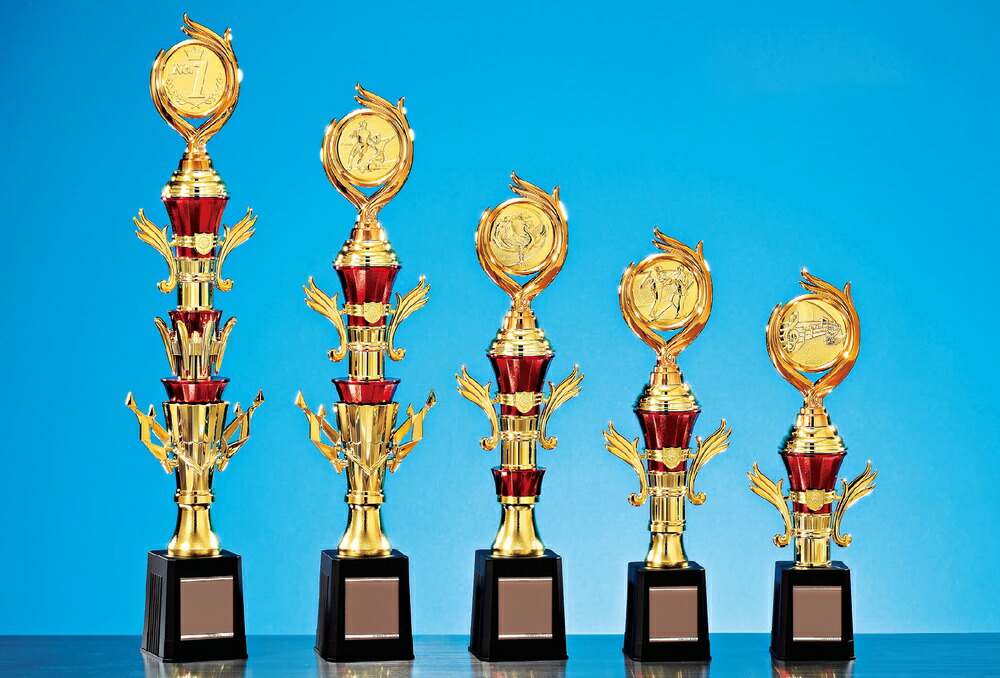 【楽天市場】【全品10倍！】ポイントup中-145種目から選べるトロフィー S-TRZ-3387 - Bサイズ（#P13） | トロフィー 優勝 楯 盾 表彰楯 バスケ サッカー 野球 卓球 ...