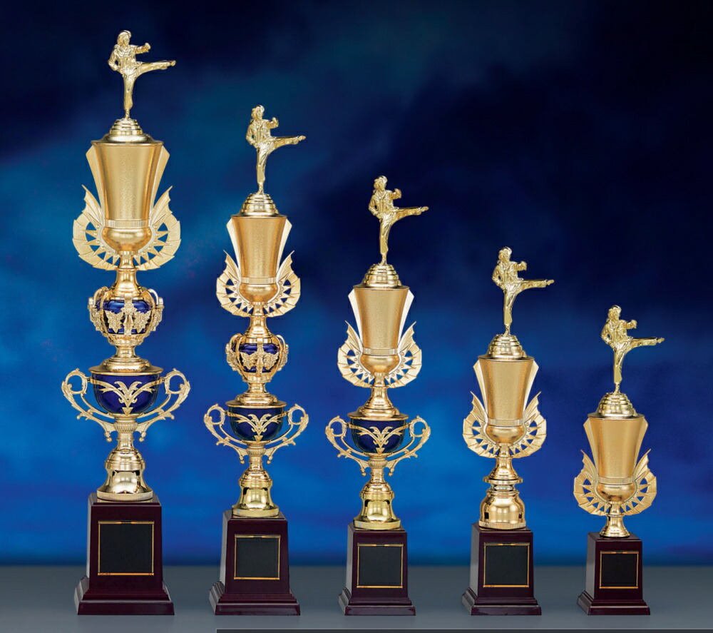 【楽天市場】【全品10倍！】ポイントup中-樹脂製トロフィー SY-T-1914 - Cサイズ（B-1） | 優勝トロフィー カップ コンペ 景品 表彰 ゴルフ 記念 サッカー 野球 テニス ...