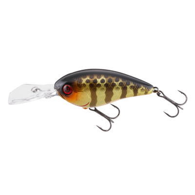 【楽天市場】ジャッカル ディグル 5＋ SKシャンパンゴールドギル JACKALL DIGLE 5＋：タックルアイランド