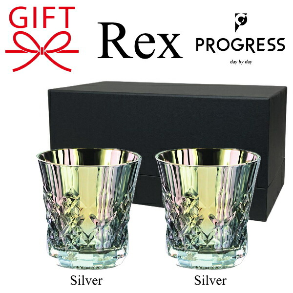 【楽天市場】【プレミアムチタングラスウェア】 『 プログレス レックスペア 265ml 2個箱入 』 REX ロックグラス：シルバー＆シルバー 御結婚御祝 内祝 記念日 夫婦 誕生日 記念品 ...