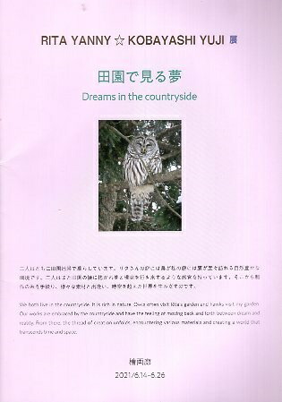 【楽天市場】【中古】田園で見る夢 Rita Yanny KOBAYASHI YUJI 展 / リタ・ヤニー 小林裕児 / 檜画廊：心理学の古本 ...
