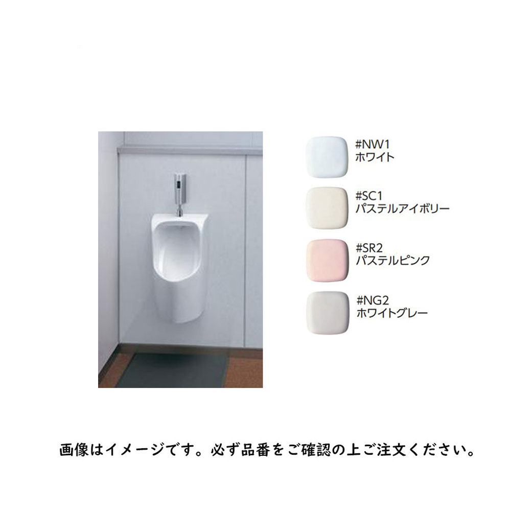 【楽天市場】TOTO U557#SC1 (ﾊﾟｽﾃﾙｱｲﾎﾞﾘｰ) (常) : 壁掛壁排水小便器 ∴：たね葉 楽天市場店