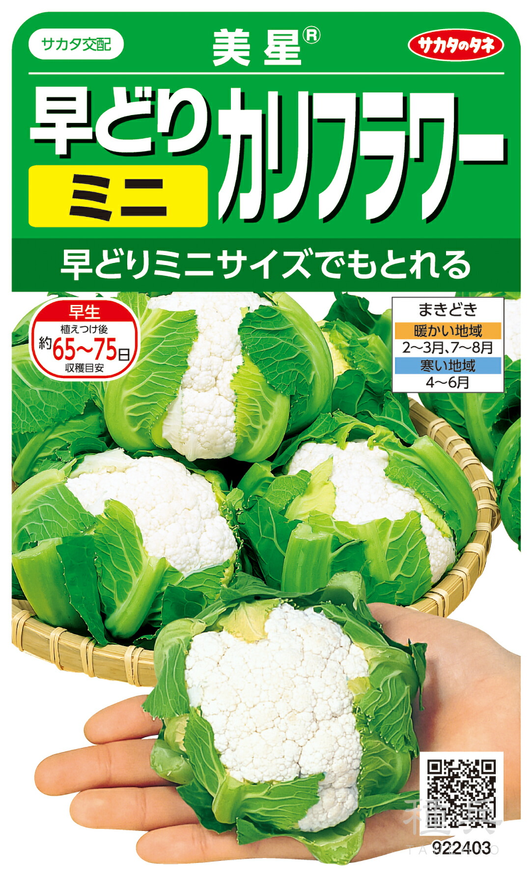 【楽天市場】カリフラワー 種 『美星』 サカタのタネ：種兵ネットショッピング