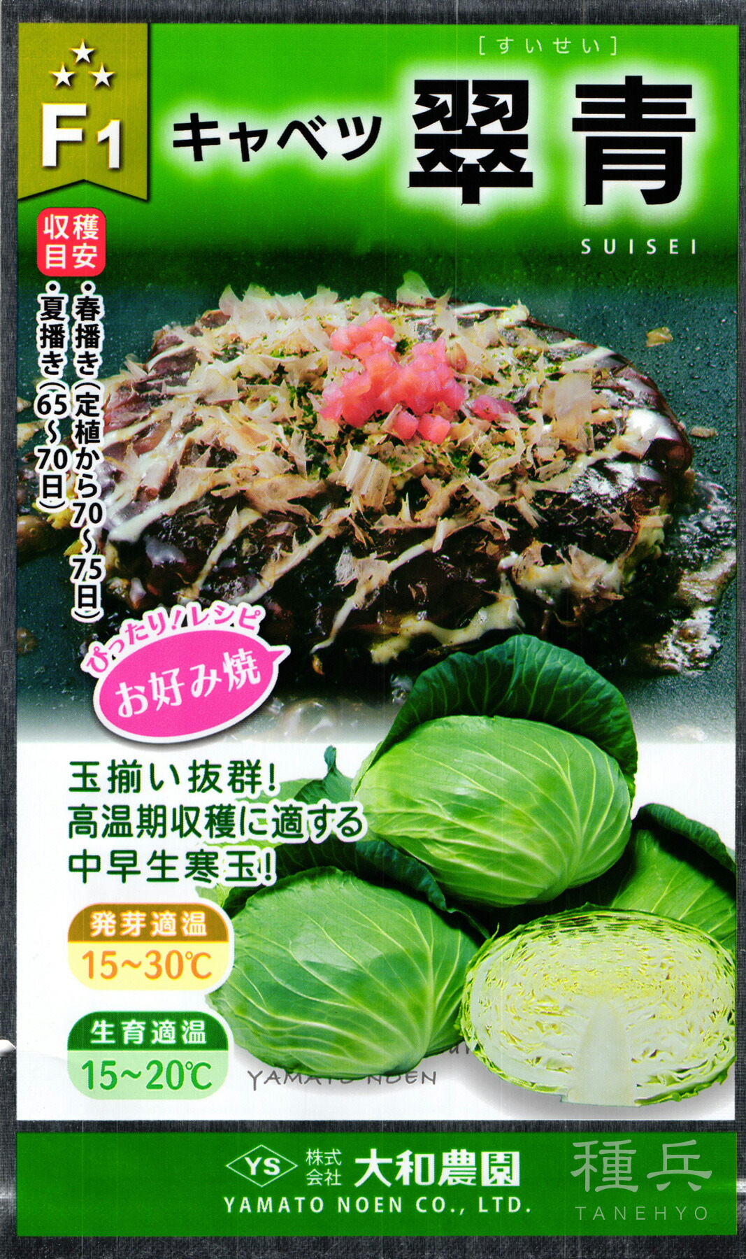 【楽天市場】寒玉・中早生キャベツ 種 『翠青』 大和農園：種兵ネットショッピング
