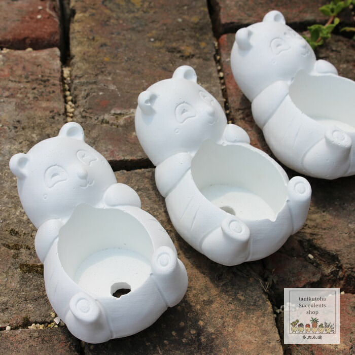 【楽天市場】ごろんとパンダ鉢 白鉢 陶器鉢 多肉永遠鉢：株式会社多肉永遠楽天市場店