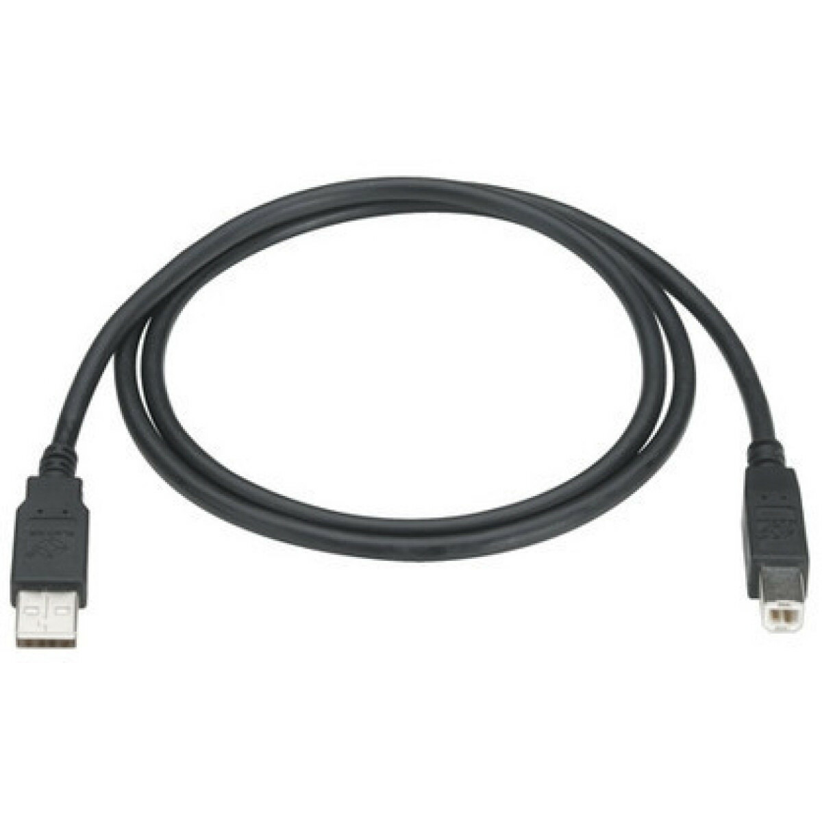 【楽天市場】【お取り寄せ品】USB2.0 A-Bｹｰﾌﾞﾙ 1.8m：TEKWIND SHOP